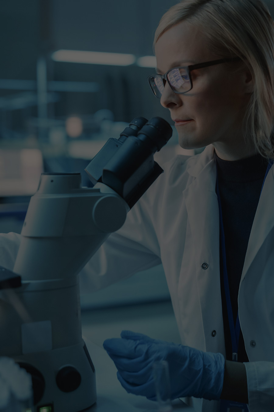 The Future of Artificial Intelligence - Implementation Evaluation Hub